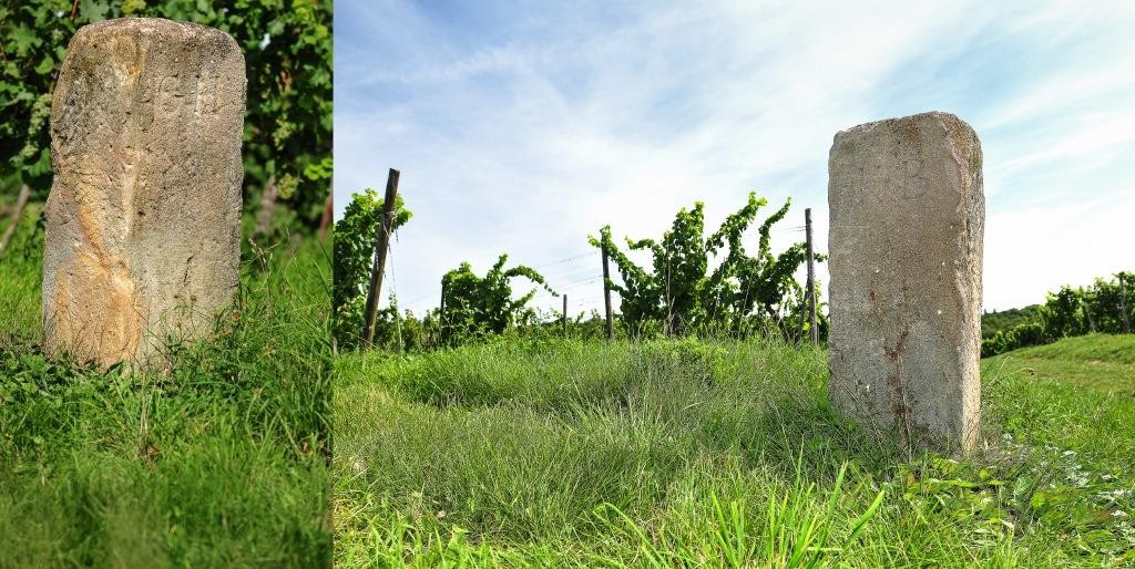 Ausflüge & Sehenswertes | Verbandsgemeinde Monsheim - Der Süden ...